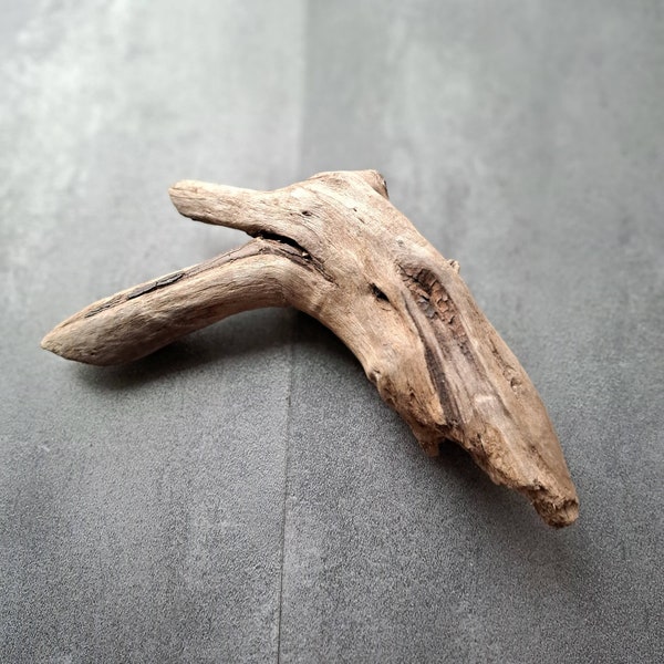 Large Driftwood - Etsy