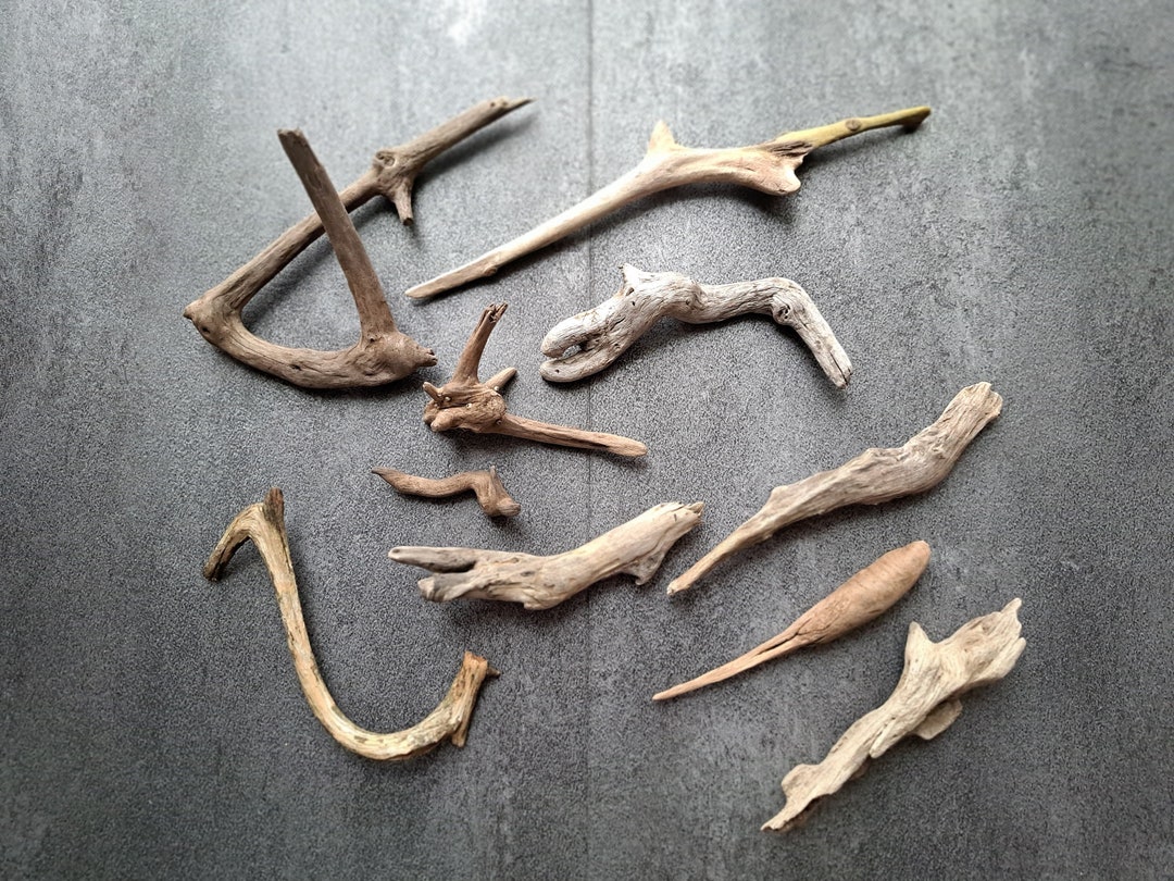 Set of 10 Unique Driftwood Pieces 2 9.5 Decorative Driftwood Home ...