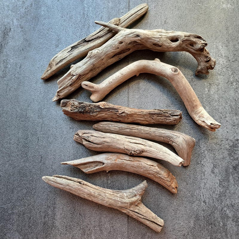 SeashoreDriftArt - Etsy