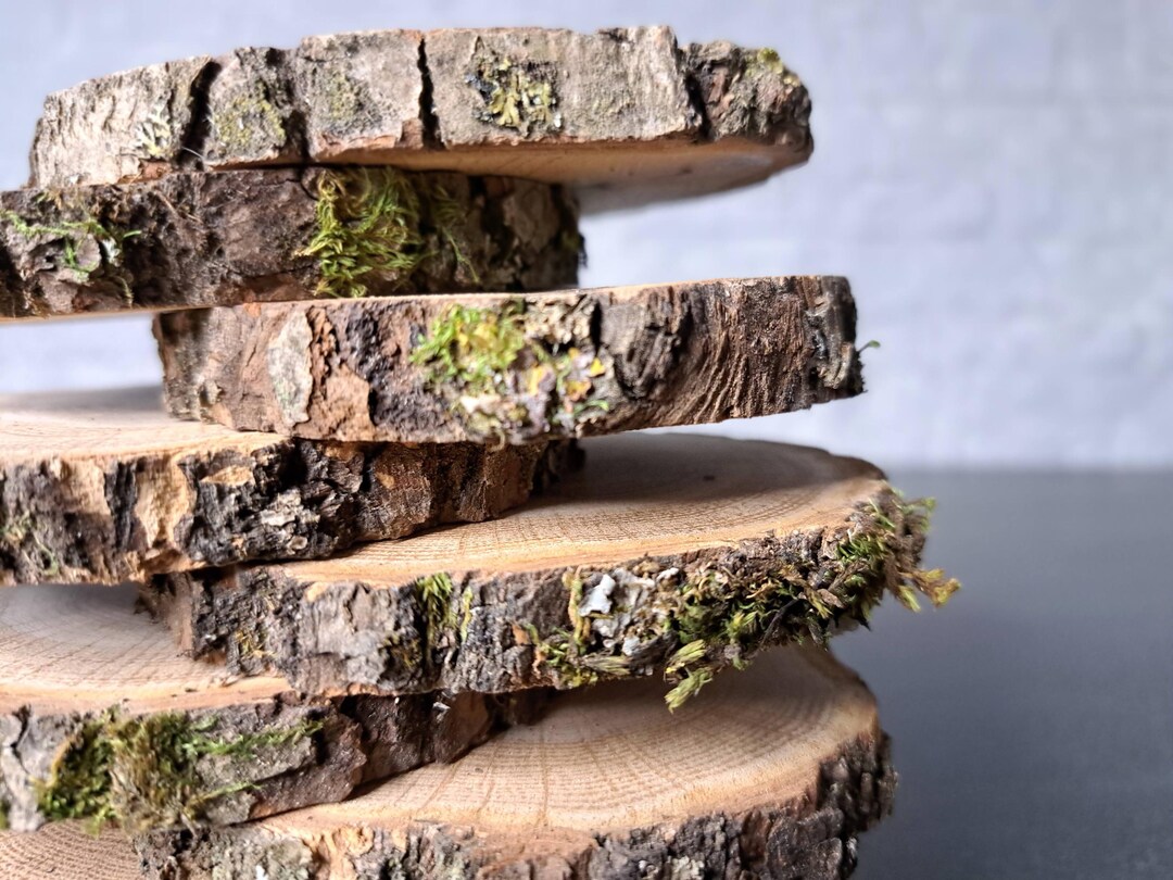 Natural Oak Wood Slices for Crafts Wedding Decor DIY Projects Rustic ...