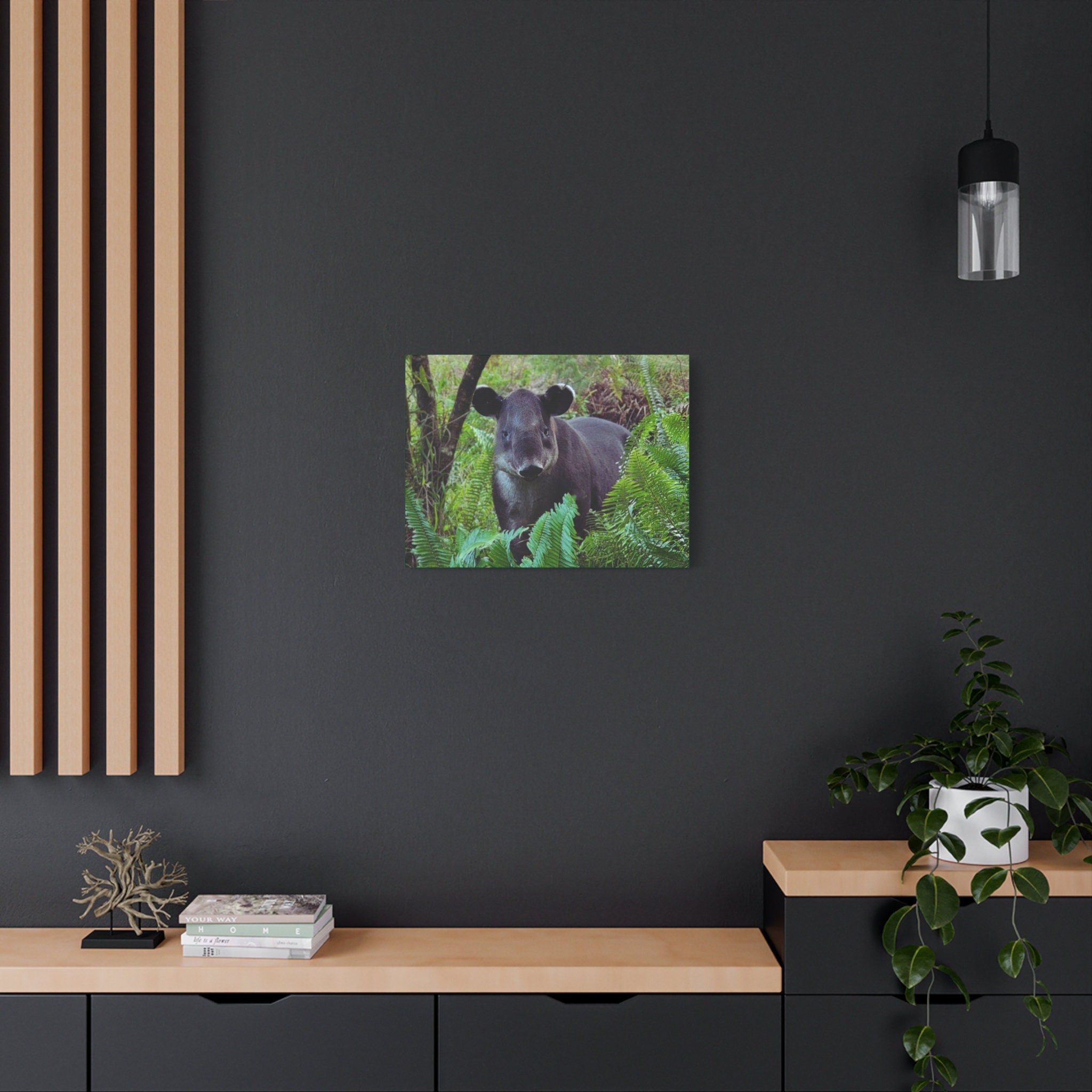 Canvas Wall Art, Tapir, Tropical Vacation, Gift, Costa Rica, Nature ...