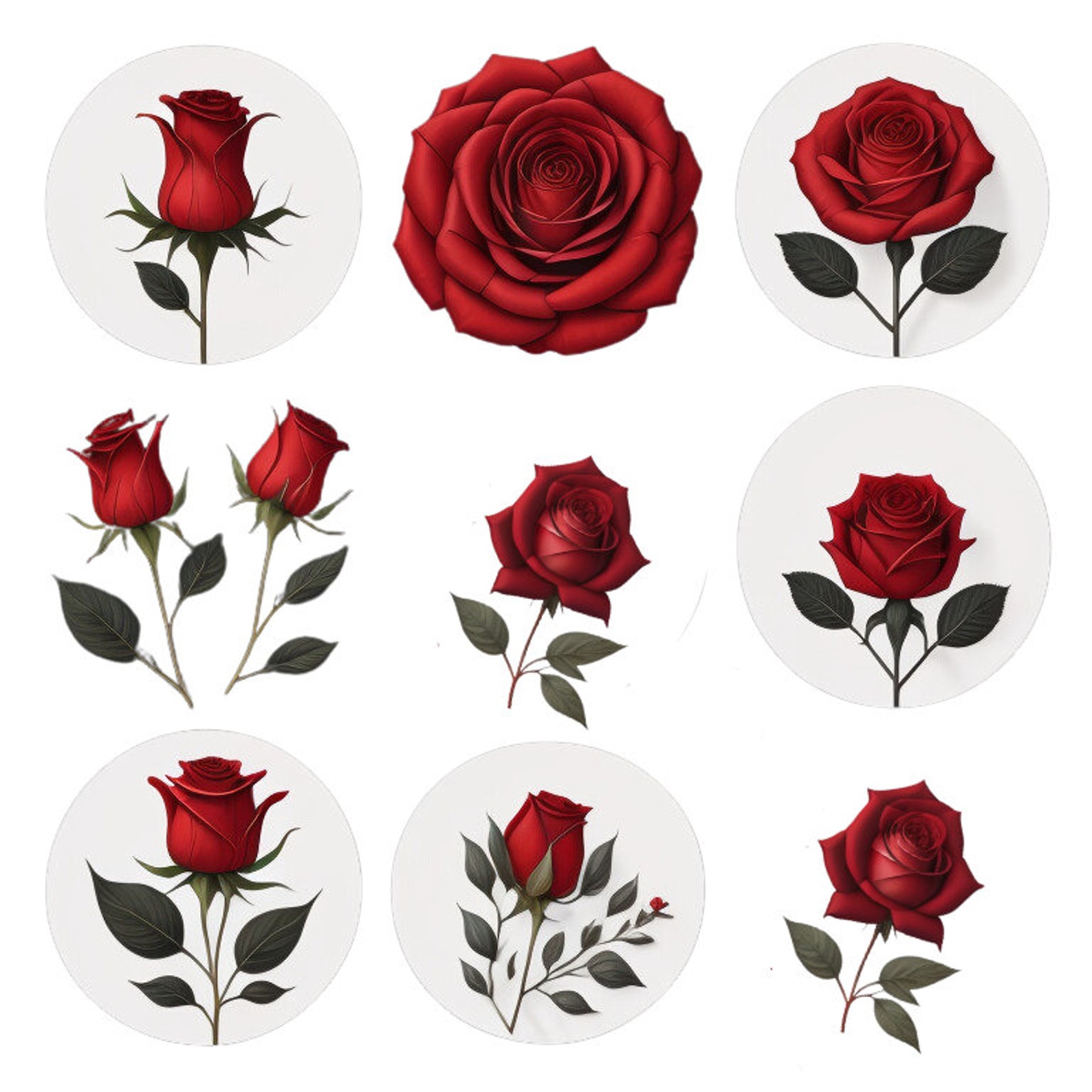 Blossom of Passion: A Red Rose's Embrace - Etsy