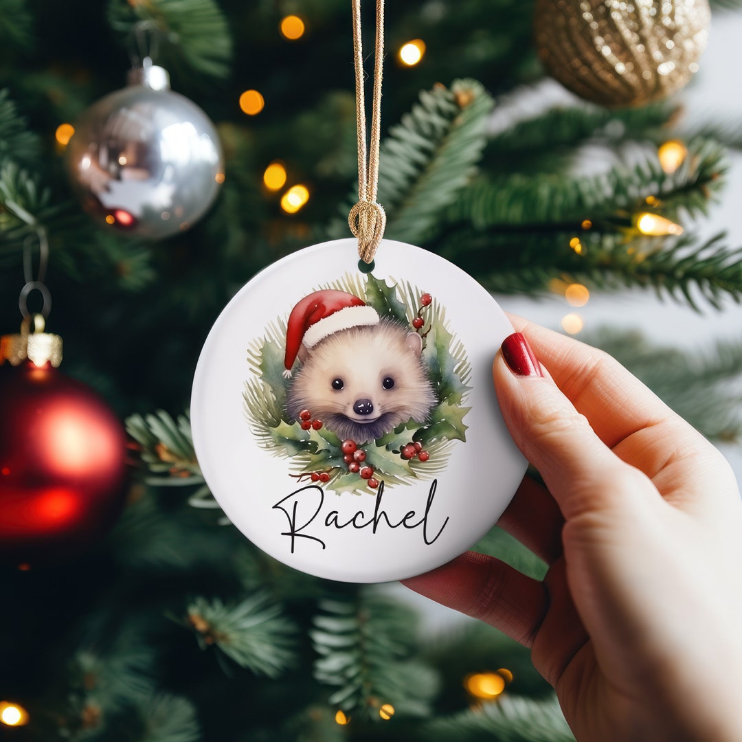 Australian Outback Holiday: Personalized Baby Echidna Christmas ...