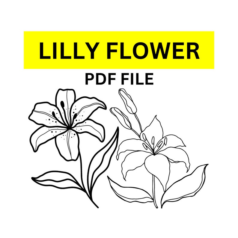 50 LILLY Flower Coloring Pages| for Kids and Adult Coloring Pages| Cute ...