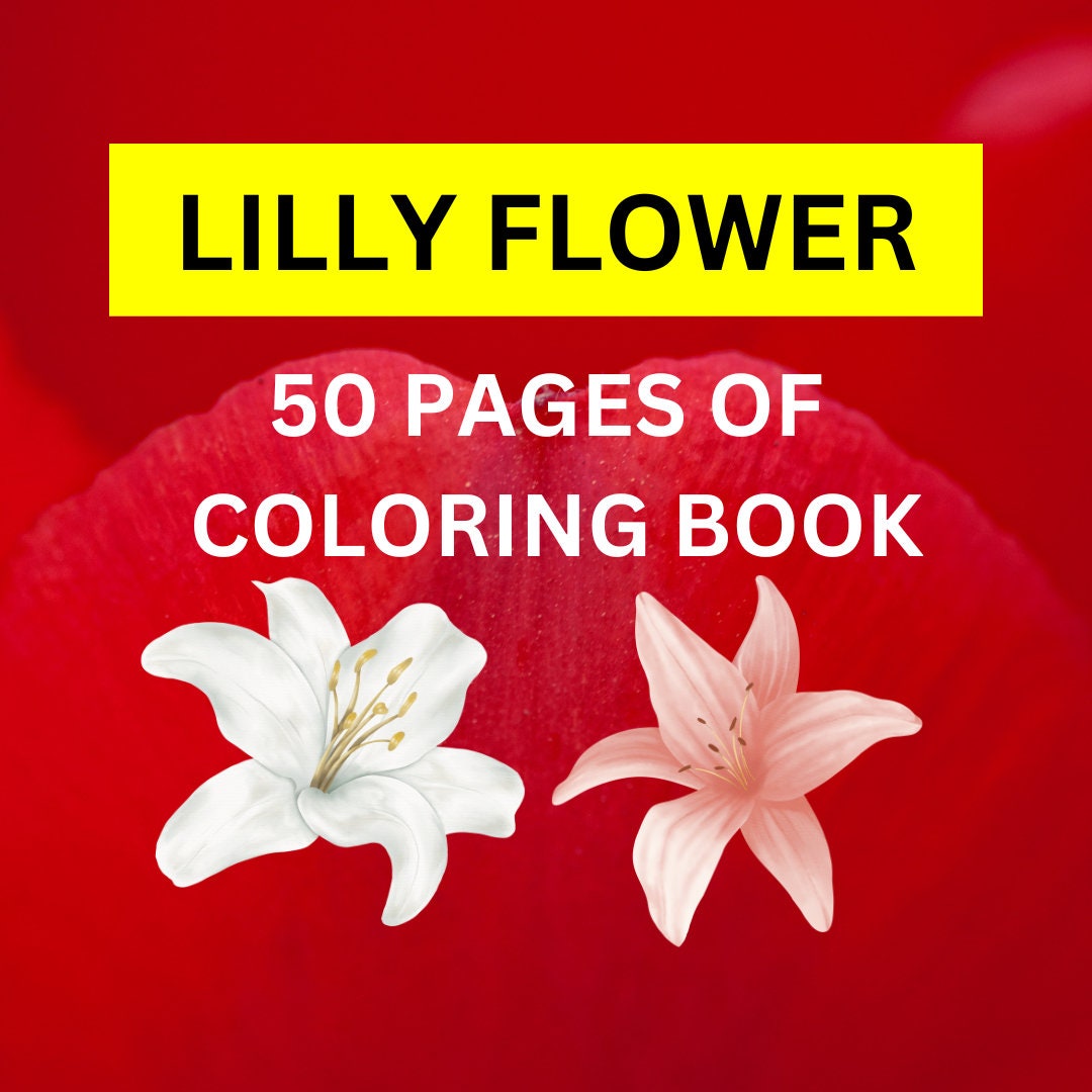 50 LILLY Flower Coloring Pages| for Kids and Adult Coloring Pages| Cute ...
