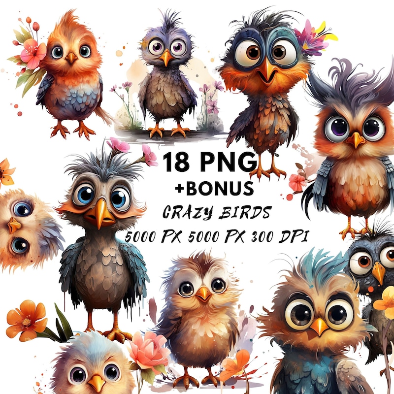 Funny Birds Clipart - Etsy