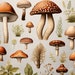 Mushroom Clipart Watercolor Toadstool Fall Thanksgiving Clipart Fall ...