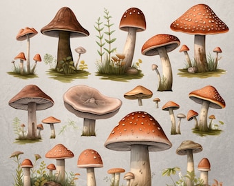 Forest Mushroom Clip Art, Watercolor Fungi PNG, Mushrooms Illustration ...