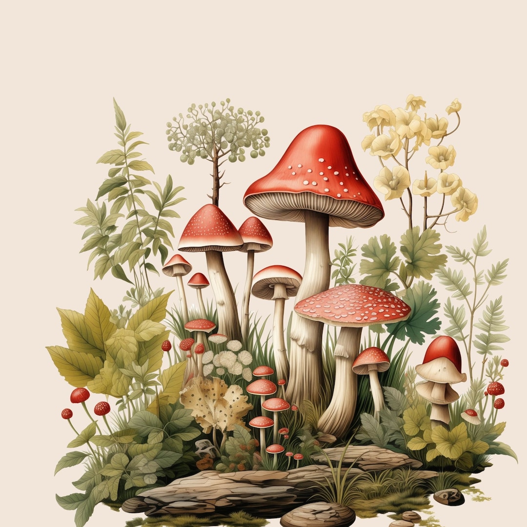 Mushrooms Clipart 14 Woodland Watercolor Toadstool Fall Clipart ...
