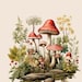 Mushrooms Clipart 14 Woodland Watercolor Toadstool Fall Clipart ...