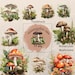 Mushrooms Clipart 14 Woodland Watercolor Toadstool Fall Clipart ...