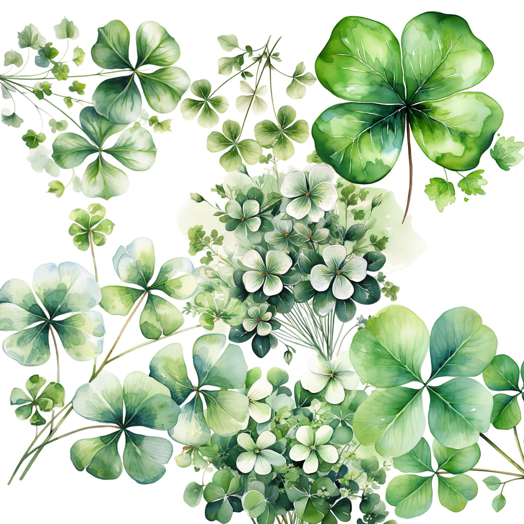 Watercolor Shamrock Four Leaf Clover Clipart St. Patrick Day Floral ...