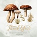 Mushroom Clipart Watercolor Toadstool Fall Thanksgiving Clipart Fall ...
