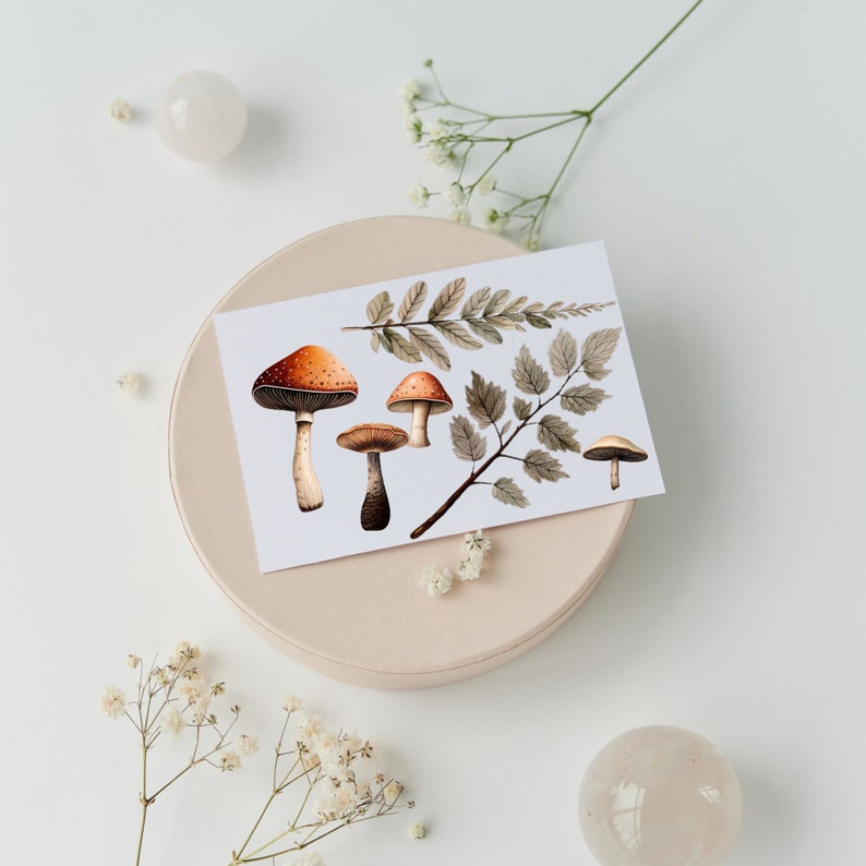 Mushroom Clipart Watercolor Toadstool Fall Thanksgiving Clipart Fall ...