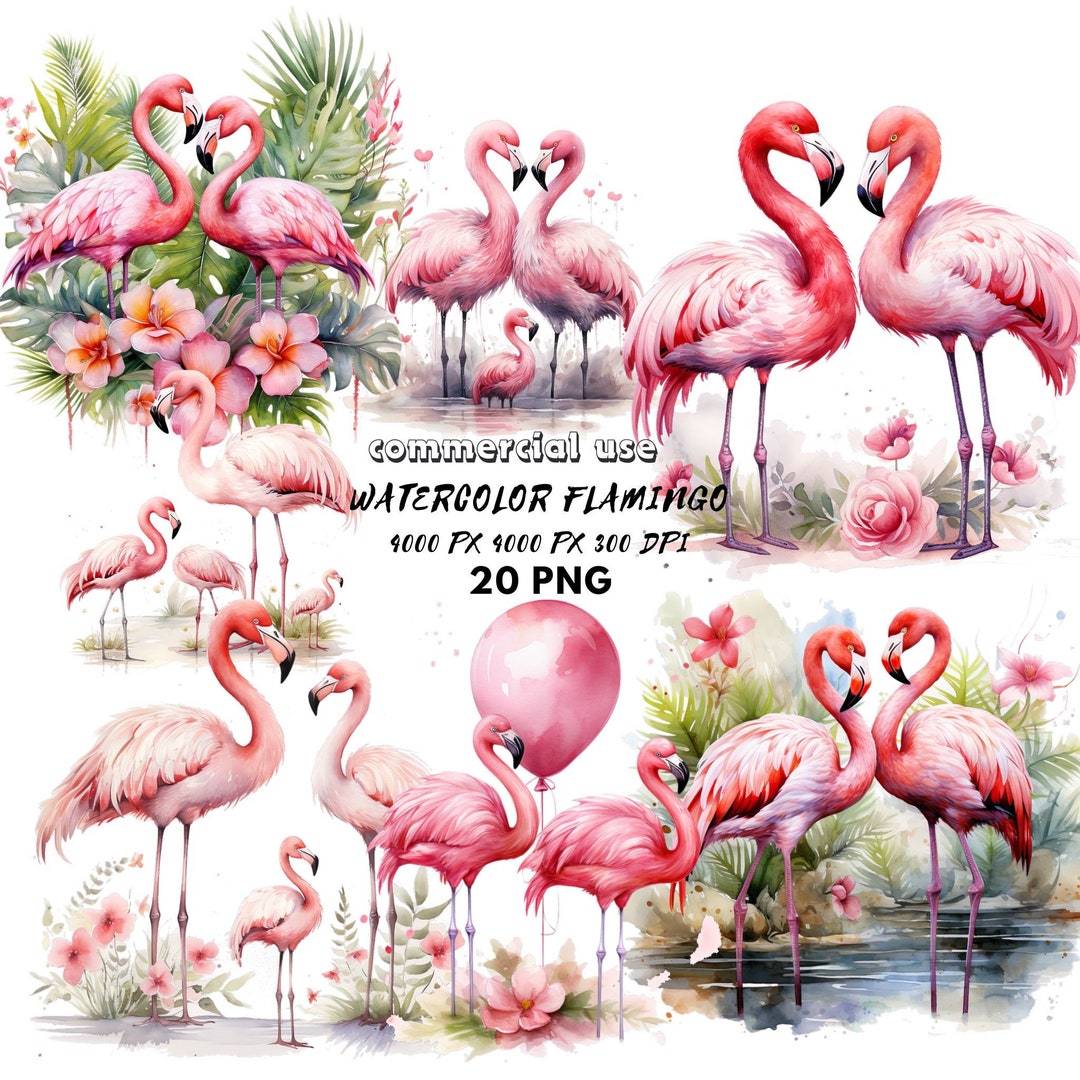 Pink Flamingo Watercolor PNG Tropical Flamingo Pink Bird Clipart Junk ...