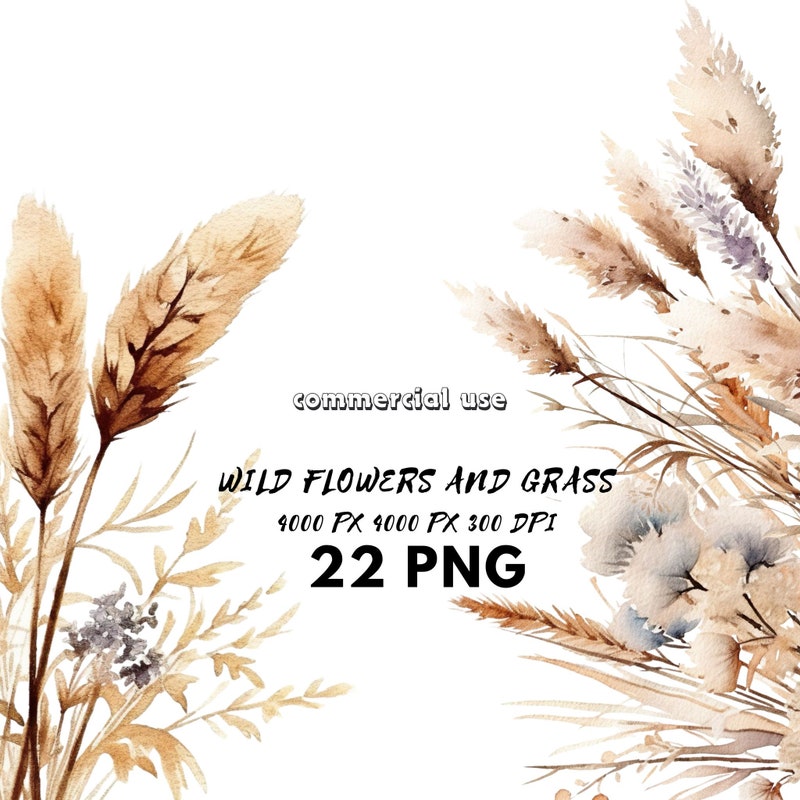 Pampas Grass Clipart - Etsy