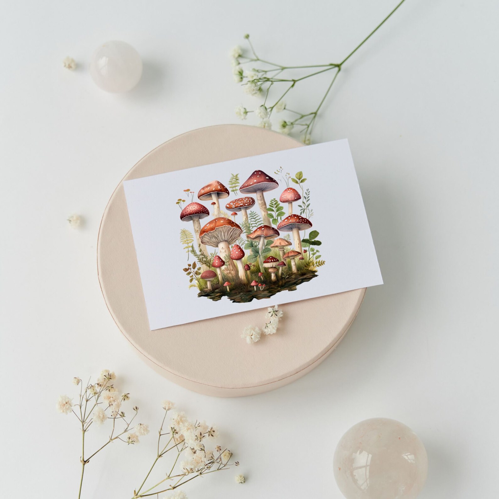 Toadstool Mushrooms Watercolor Fall Clipart Thanksgiving Forest Fungus ...