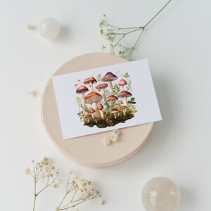Toadstool Mushrooms Watercolor Fall Clipart Thanksgiving Forest Fungus ...