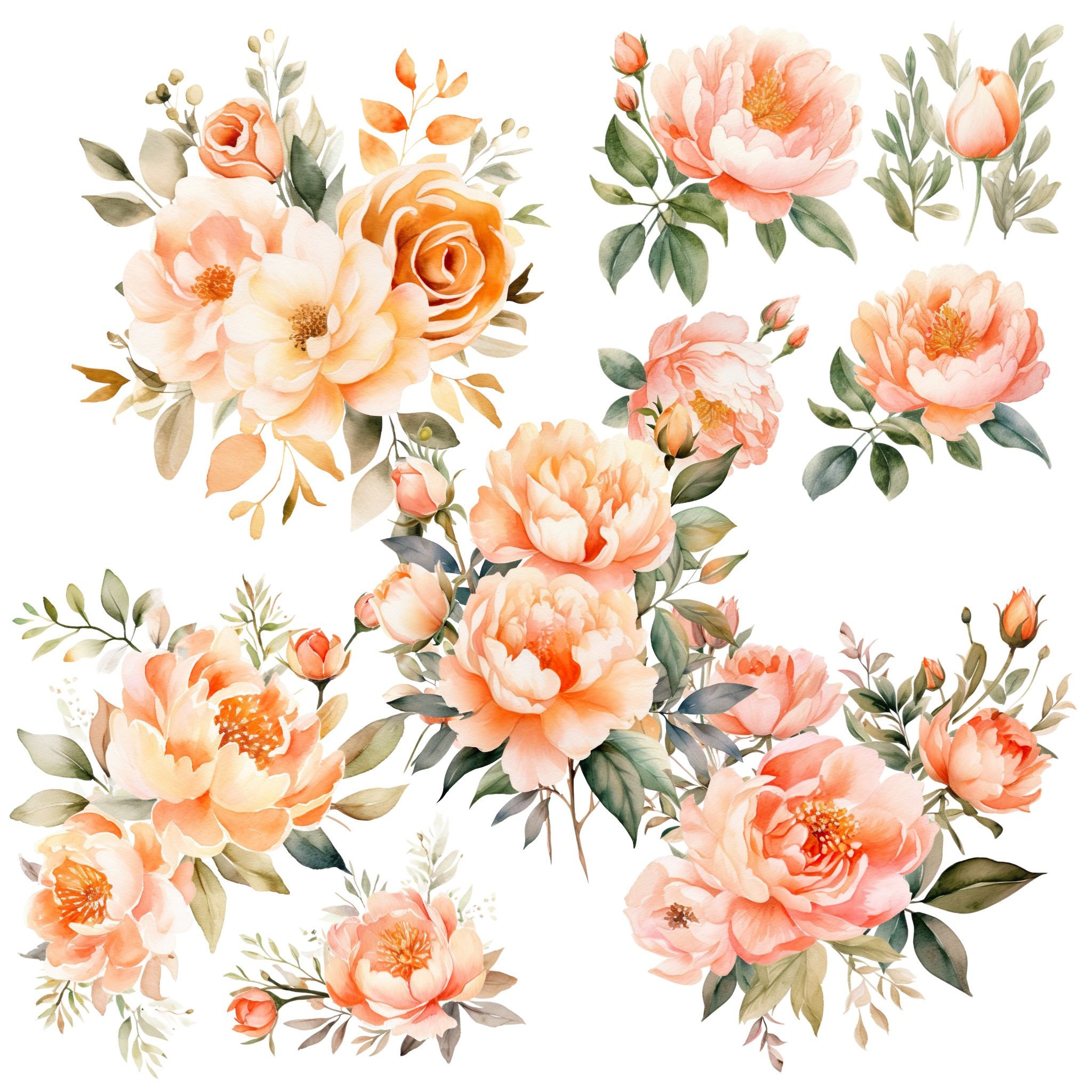 Watercolor Peach Floral Clipart Peony and Roses PNG Blush Flowers ...