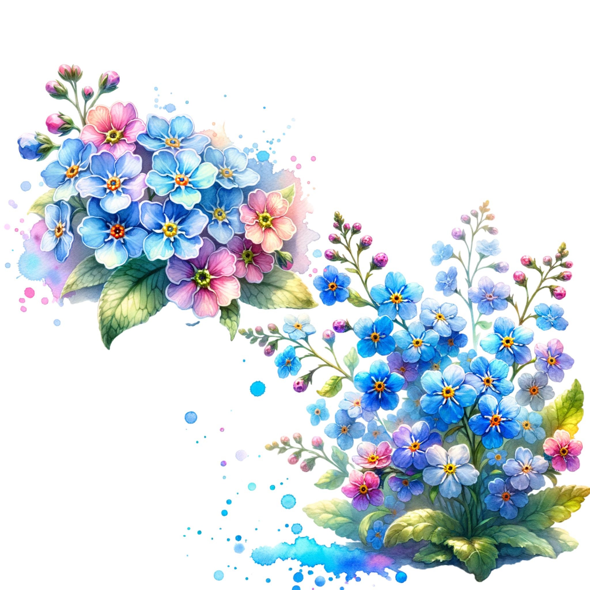 Blue Forgetme Not Clipart Floral PNG, Watercolor Forgetme Not Blue ...