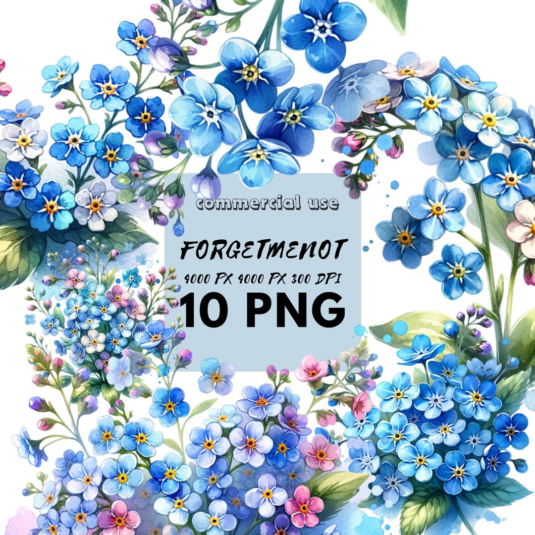 Blue Forgetme Not Clipart Floral PNG, Watercolor Forgetme Not Blue ...