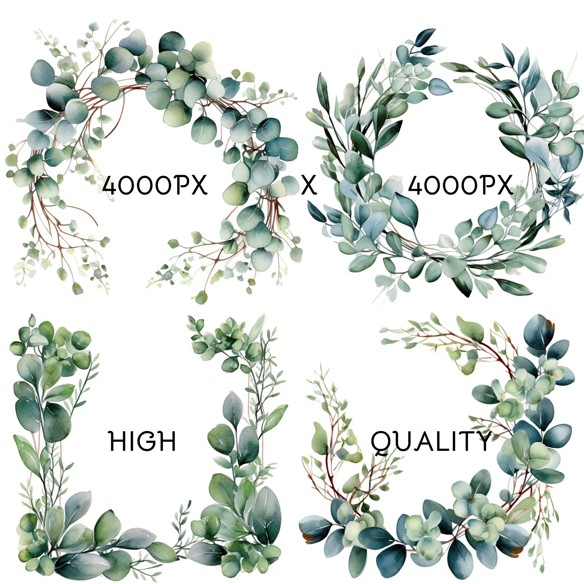 Watercolor Eucalyptus Clipart Bundle Baby Blue Watercolor Seeded ...
