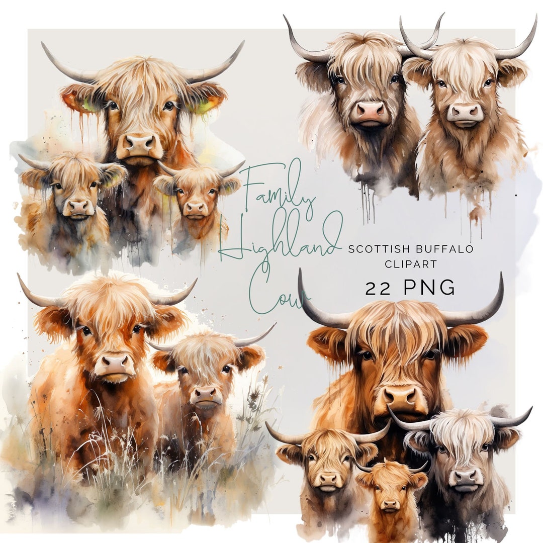 Highland Cow Family Clipart Buffalo PNG Bundle Watercolor Cute Scottish ...