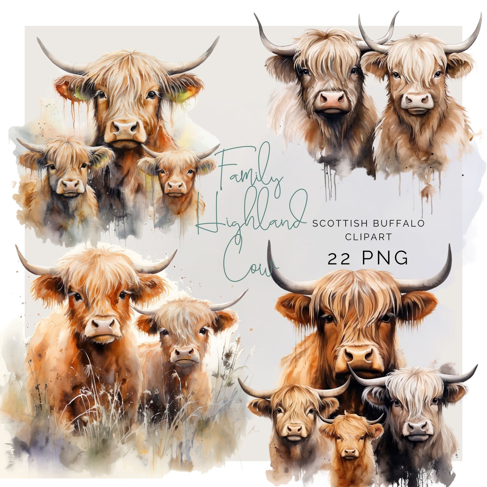 Highland Cow Family Clipart Buffalo PNG Bundle Watercolor Cute Scottish ...