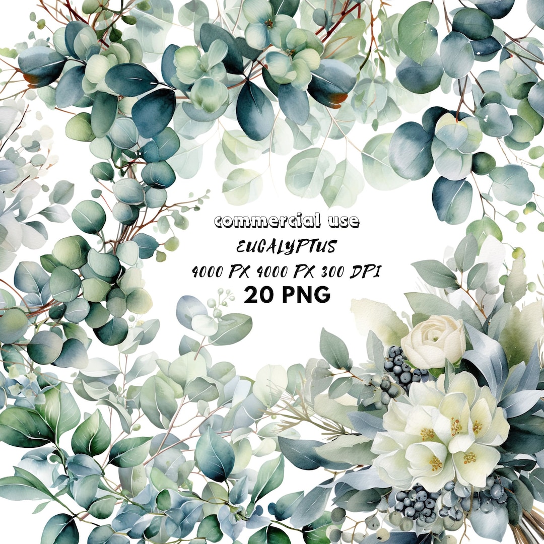 Watercolor Eucalyptus Clipart Bundle Baby Blue Watercolor Seeded ...