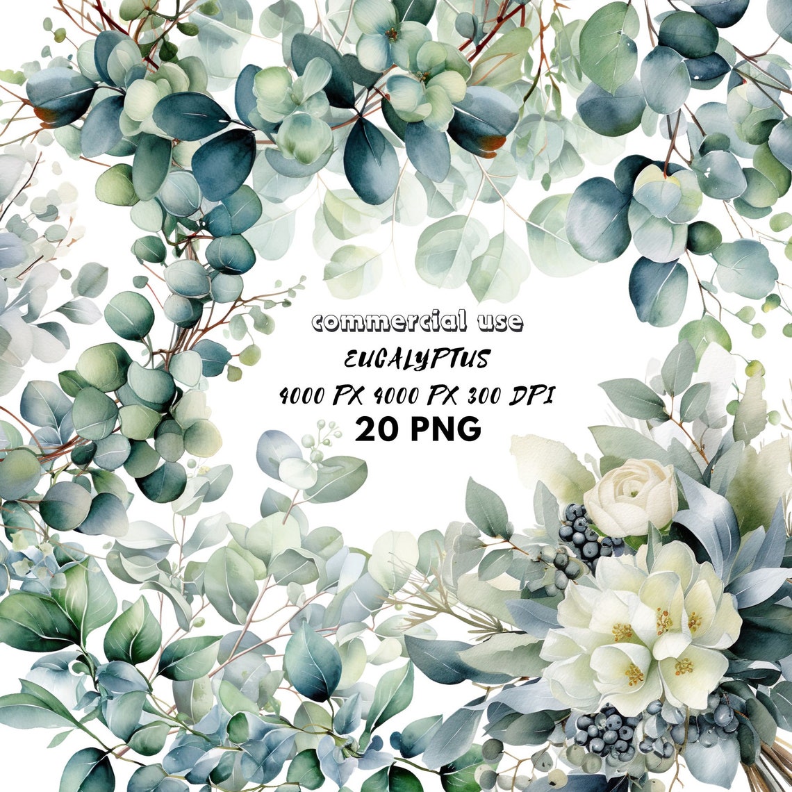 Watercolor Eucalyptus Clipart Bundle Baby Blue Watercolor Seeded ...