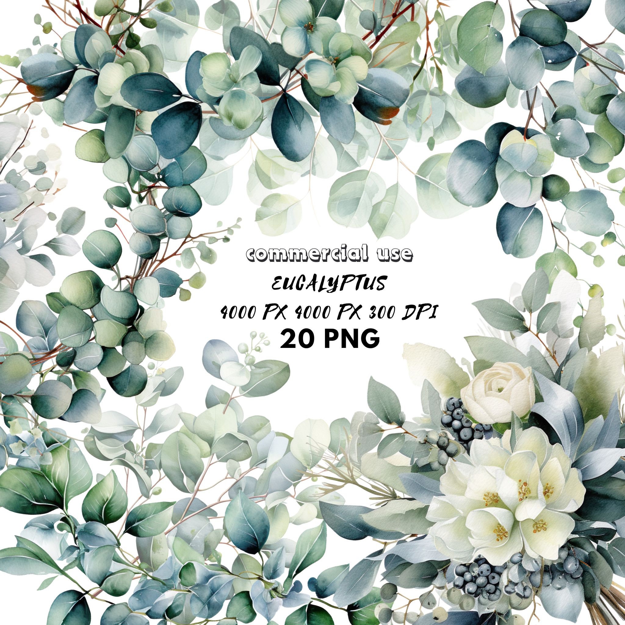Watercolor Eucalyptus Clipart Bundle Baby Blue Watercolor Seeded ...