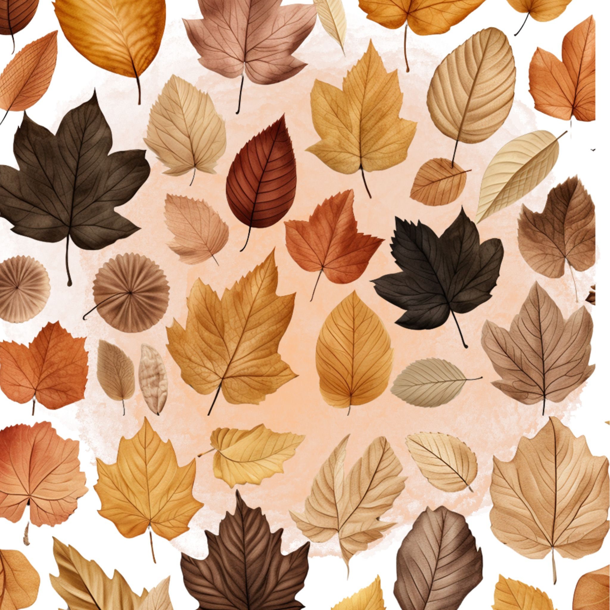 Autumn Forest PNG Clipart Bundle Autumn Scene Clipart Autumn - Etsy