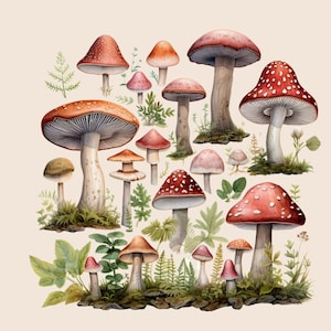Watercolor Mushrooms Clipart Woodland Bounty Forest Fungus PNG ...