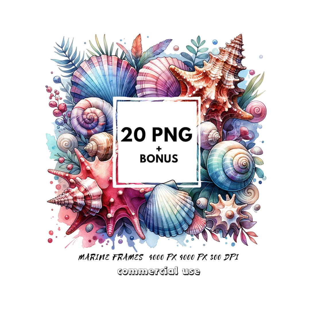 Shells Frame Clipart | Mermaid PNG | Seashell Frame | Digital Clipart ...