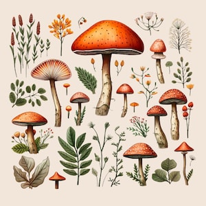 Watercolor Mushrooms Clipart Woodland Bounty Forest Fungus PNG ...