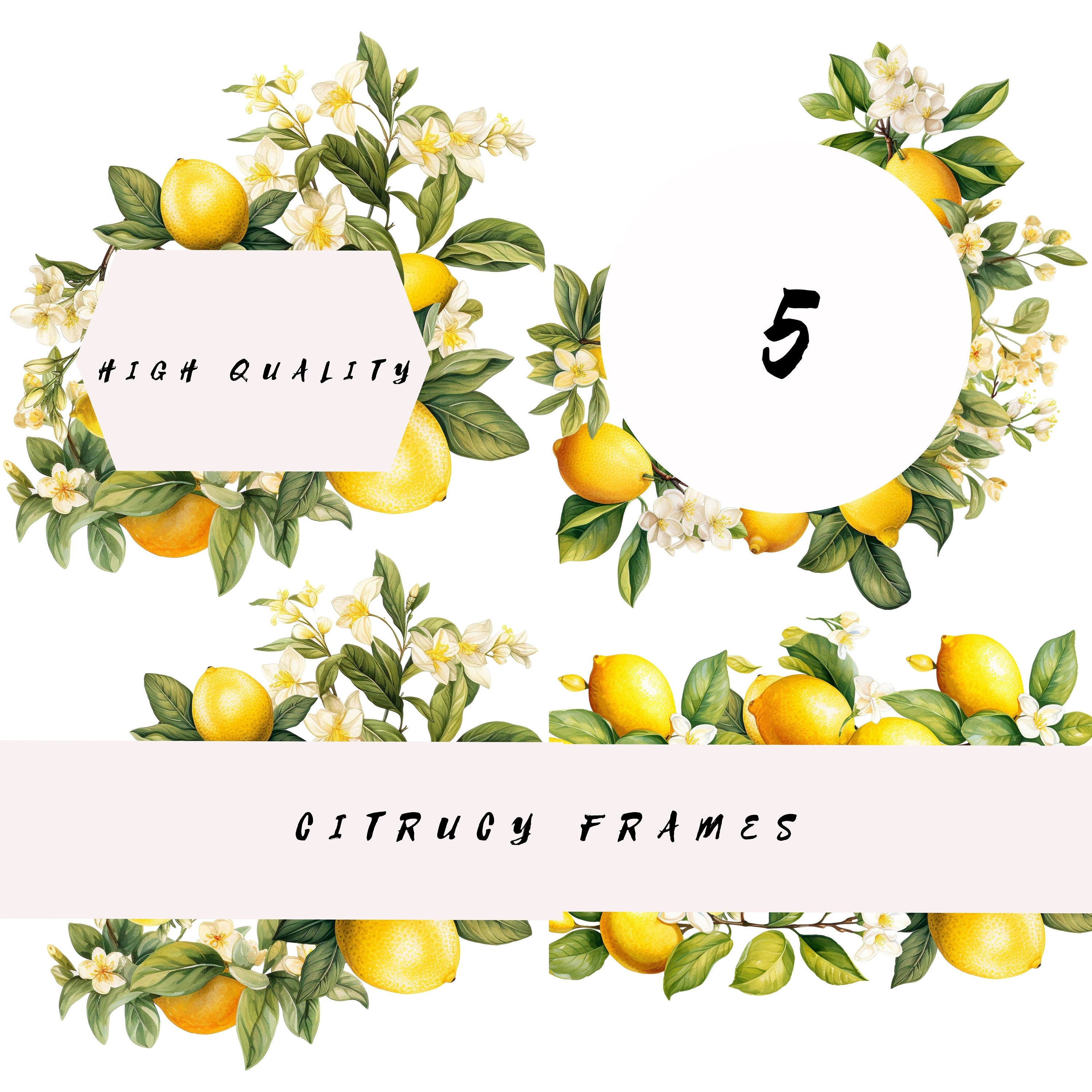 Watercolor Lemon Clipart PNG Instant Download Lemonade PNG Floral ...