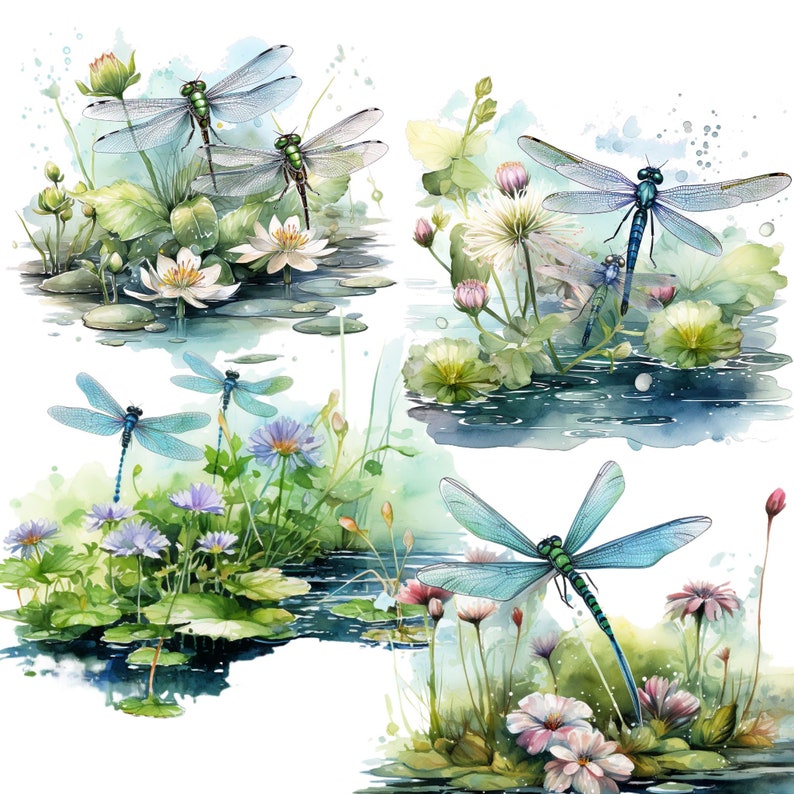 Watercolor Cute Frog Clipart Dragonfly Toad Transparent PNG Wildlife ...