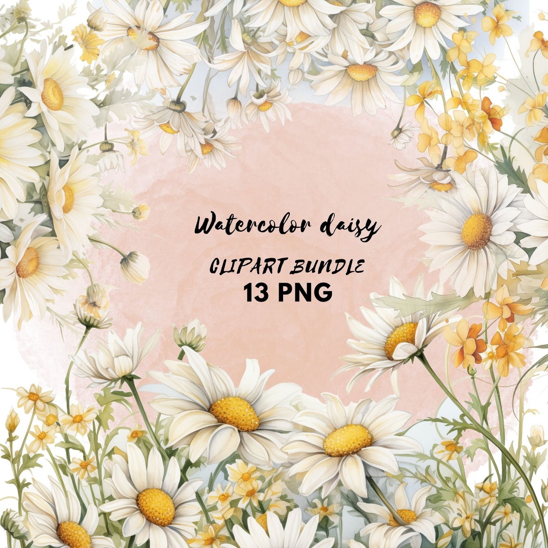 Daisy Nacimiento flor Clipart Floral Png Paquete acuarela Invitación de ...