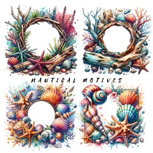 Shells Frame Clipart | Mermaid PNG | Seashell Frame | Digital Clipart ...