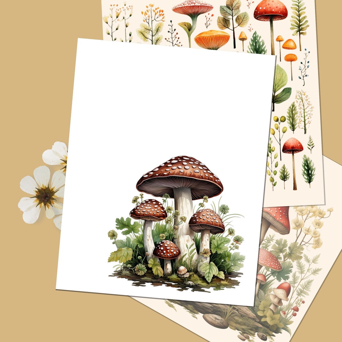 Mushrooms Clipart 14 Woodland Watercolor Toadstool Fall Clipart ...