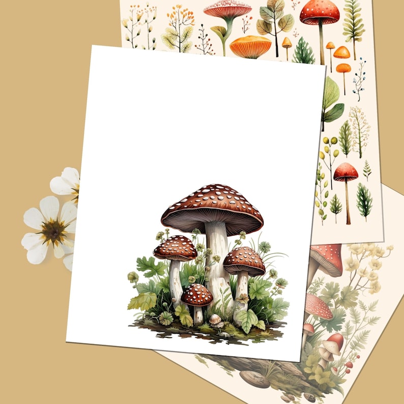 Mushrooms Clipart 14 Woodland Watercolor Toadstool Fall Clipart ...