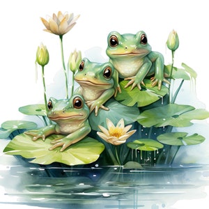 Amphibian Woodland Animal Png | Cute Frogs | Digital Download ...