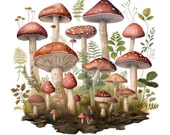Mushroom Png Watercolor Clipart Mushroom Stickers Autumn Stickers ...