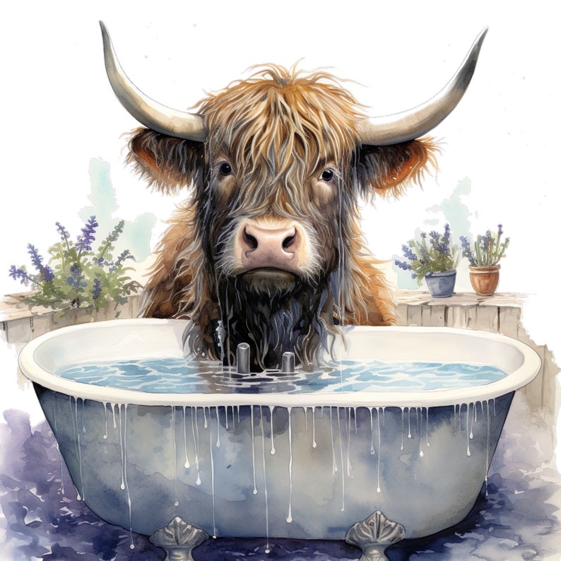 Highlandcow PNG Bathtub Clipart 25 Cute Cow Bathtub PNG Bundle ...