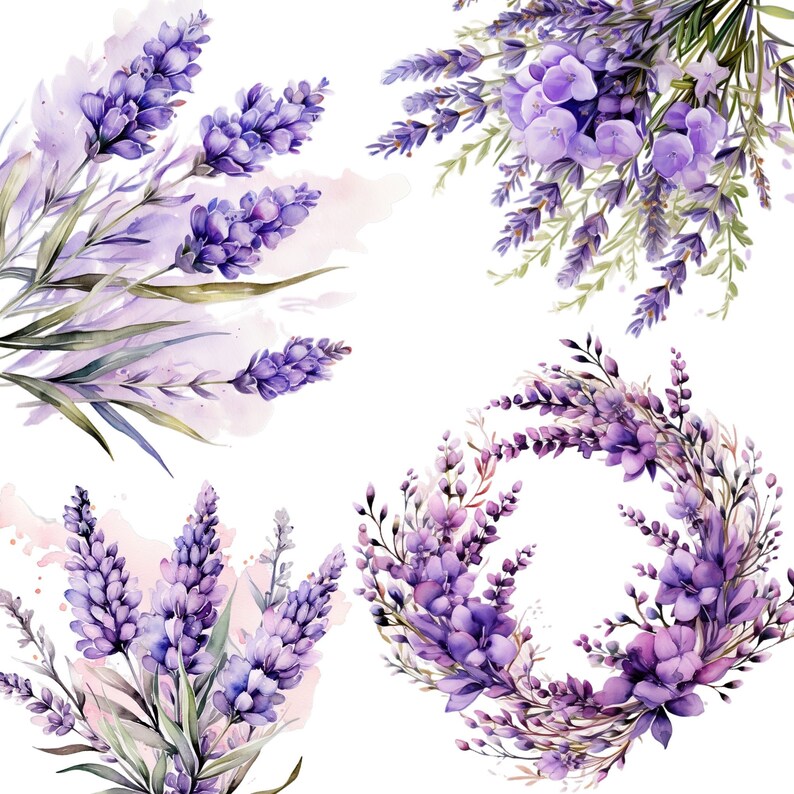 Lavender Flowers Wreath Clipart Bouquets Borders Watercolor Flowering ...