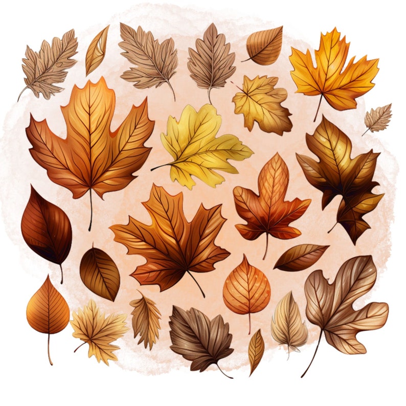 Autumn Forest PNG Clipart Bundle Autumn Scene Clipart Autumn - Etsy