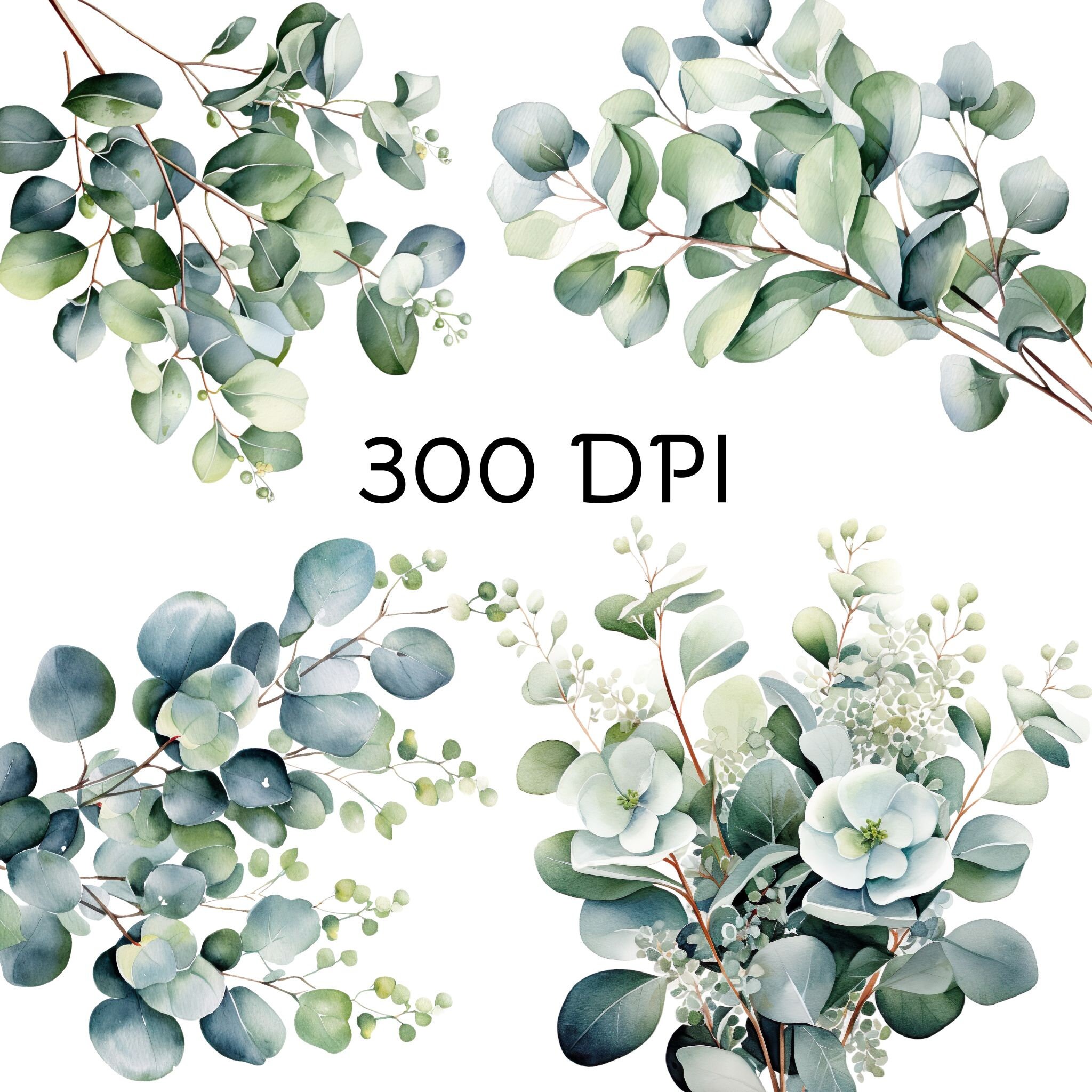Watercolor Eucalyptus Clipart Bundle Baby Blue Watercolor Seeded ...