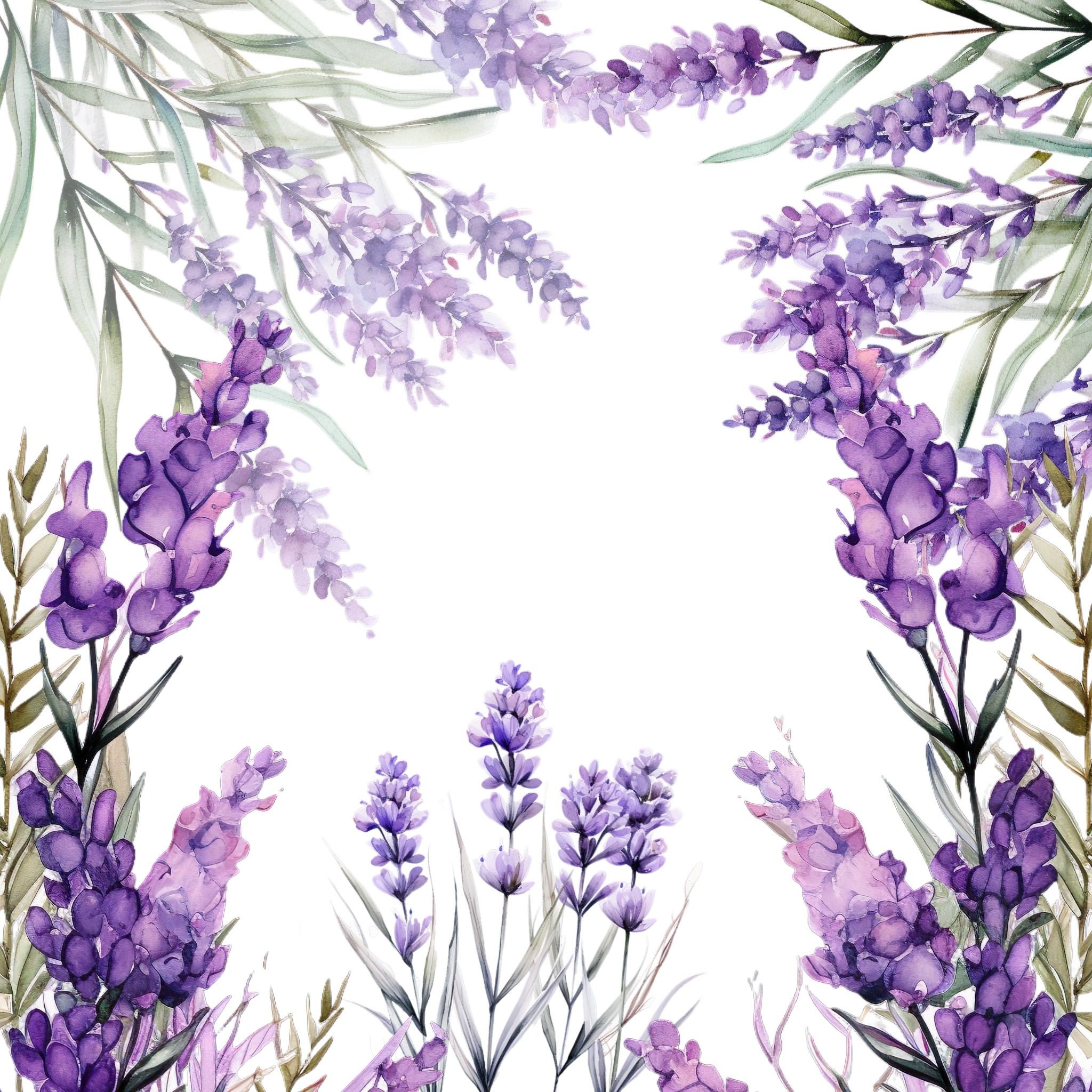 Watercolor Lavender Clipart | Lavender Clip Art | Watercolor Lavender ...