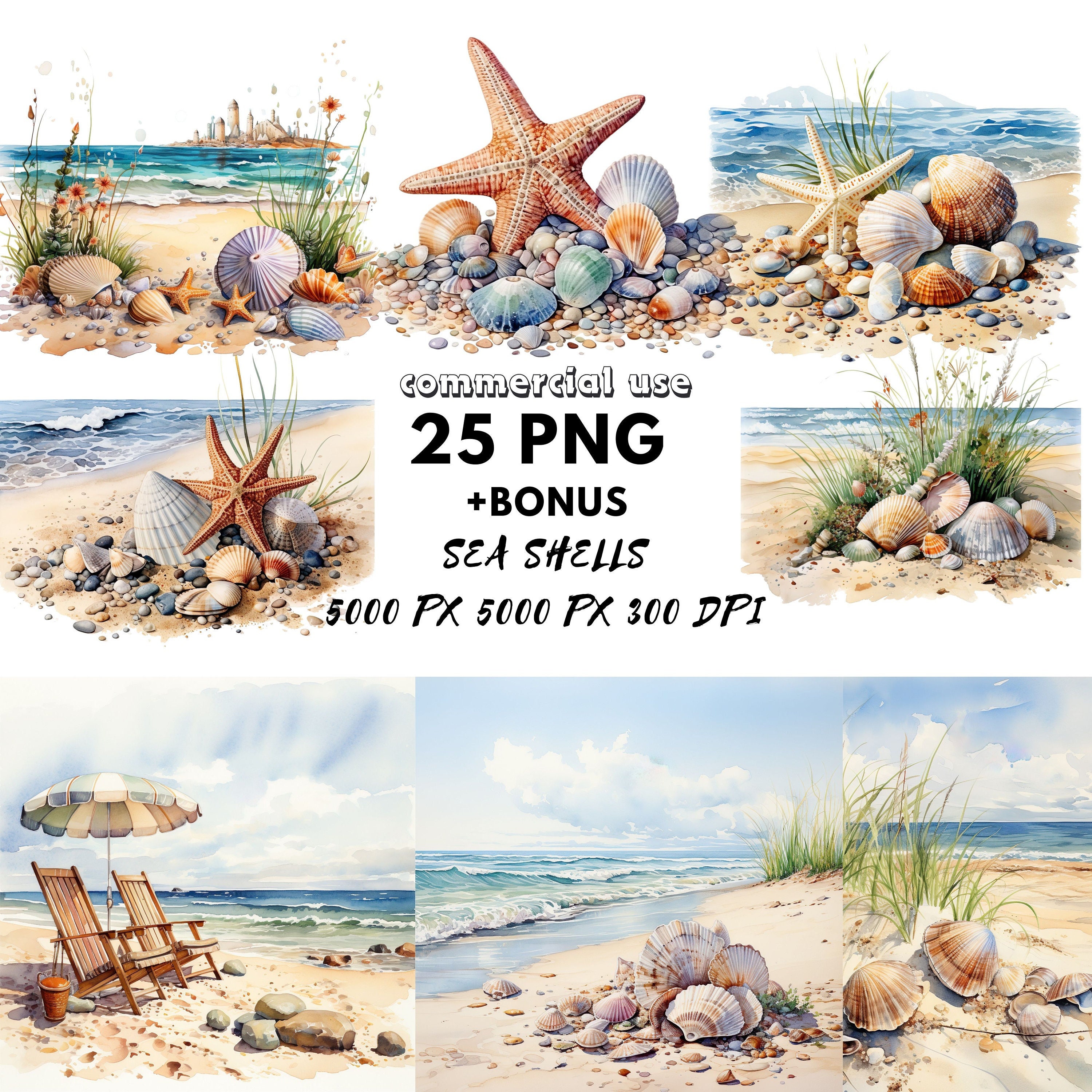 Sea Shell Sea Star Clipart |nautical Clipart | Commercial Use | Ocean ...