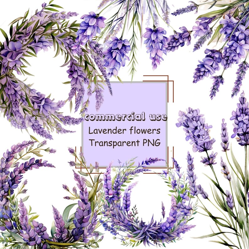 Lavender Flowers Wreath Clipart Bouquets Borders Watercolor Flowering ...